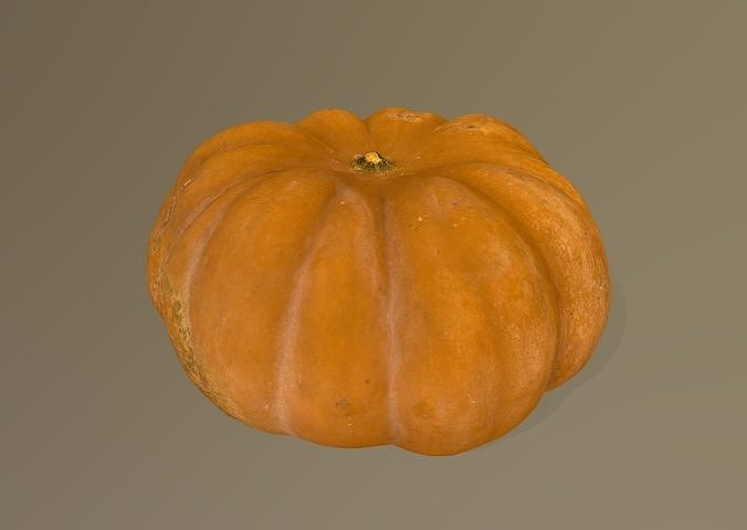 pumpkin 3D model | CGTrader