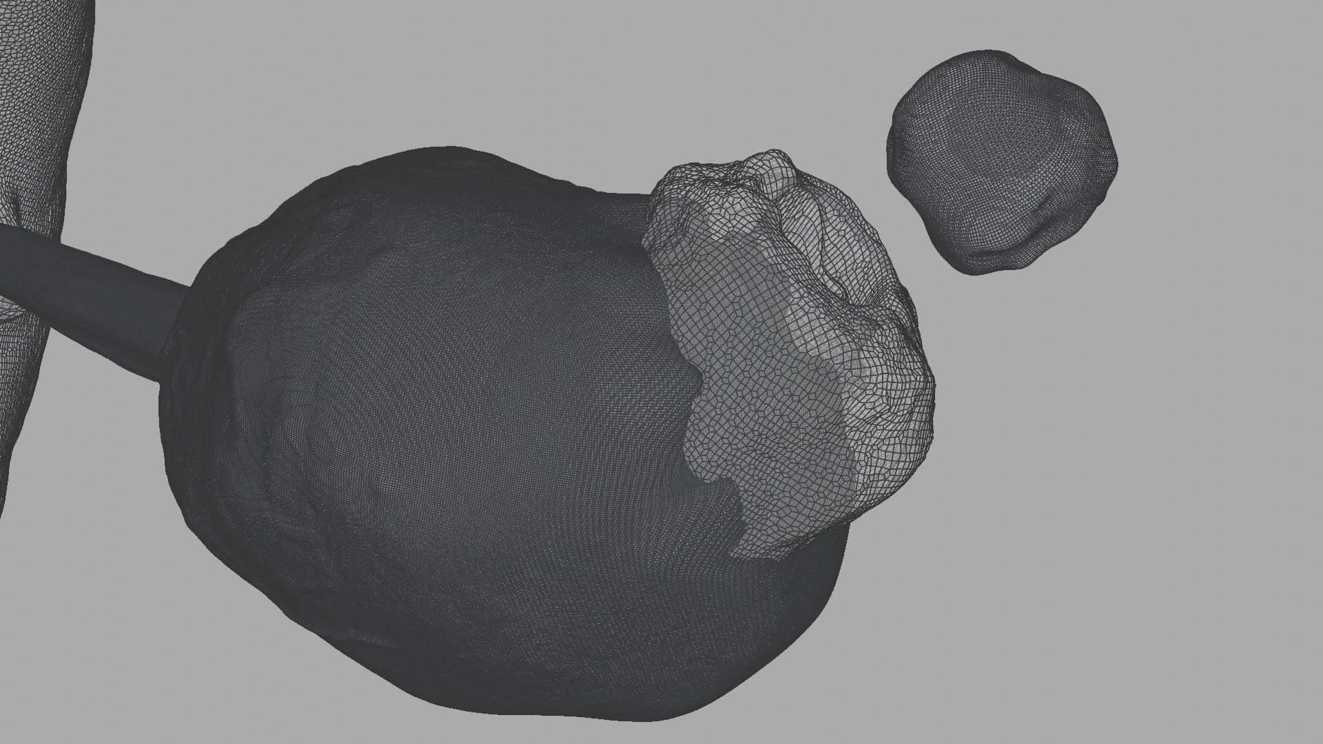 Ovulation in the left ovary and uterus 3D model | CGTrader