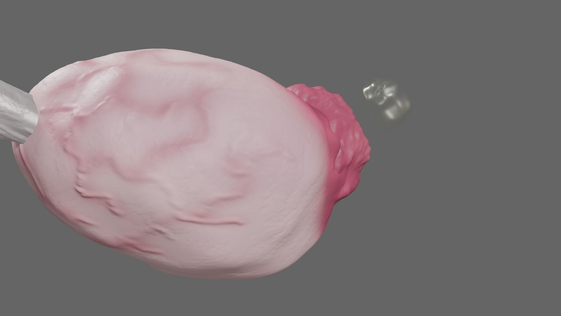 Ovulation in the left ovary and uterus 3D model | CGTrader