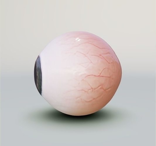 3D Eye 3D model | CGTrader