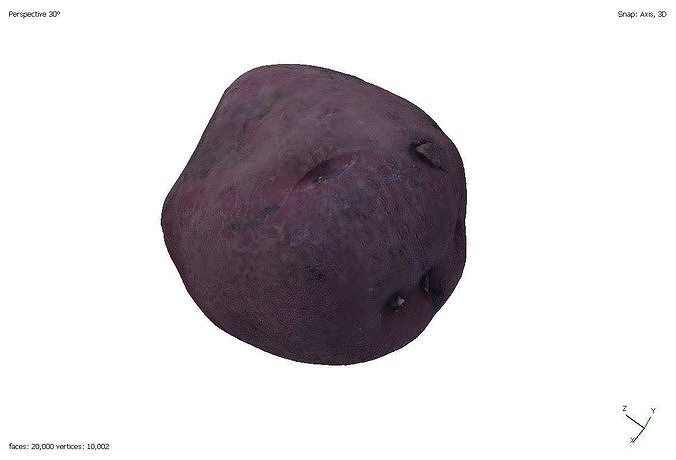 Three models of potatoes 3D model | CGTrader
