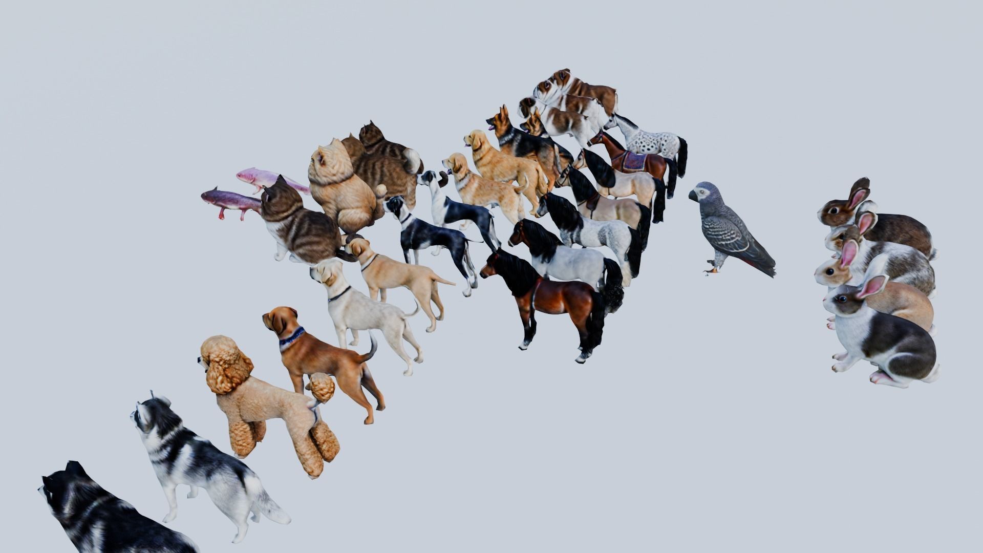 3D model Animal Models Asset Pack VR / AR / low-poly | CGTrader