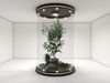 terarium tree in house free 3D model | CGTrader