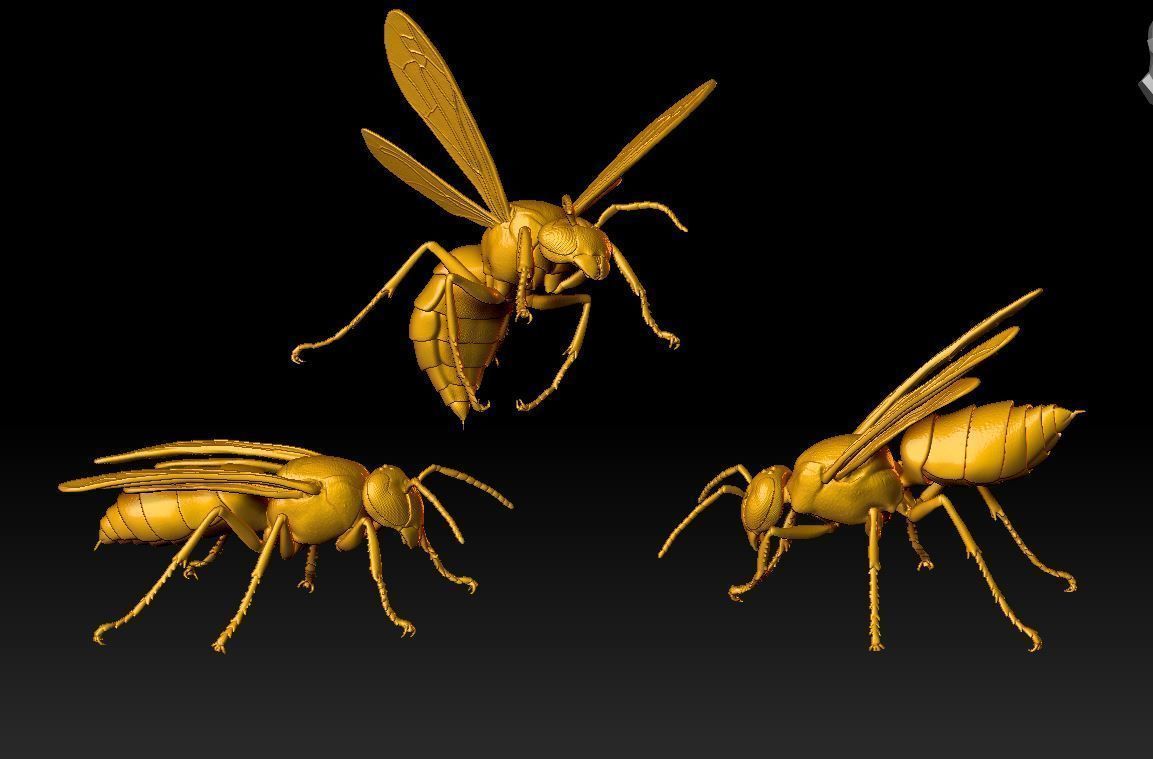 Wasp three different poses and nest 3D model 3D printable | CGTrader