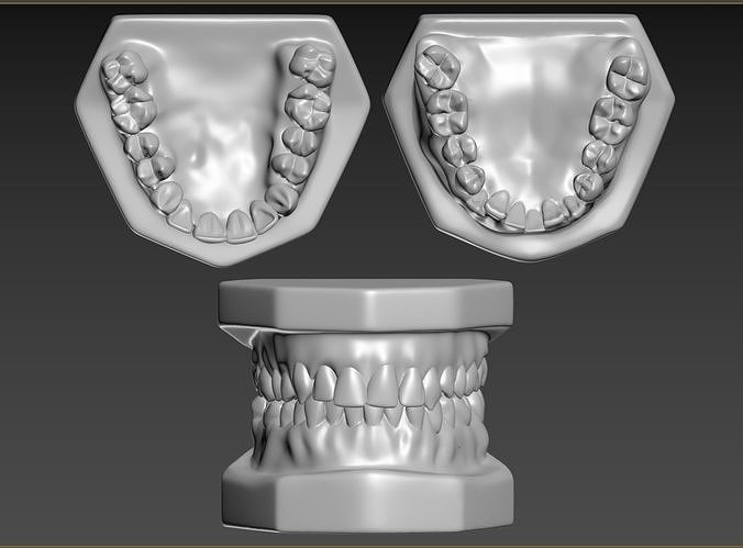 Teeth 3D model 3D printable | CGTrader