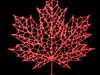 Voronoi maple leaf 3D model 3D printable | CGTrader