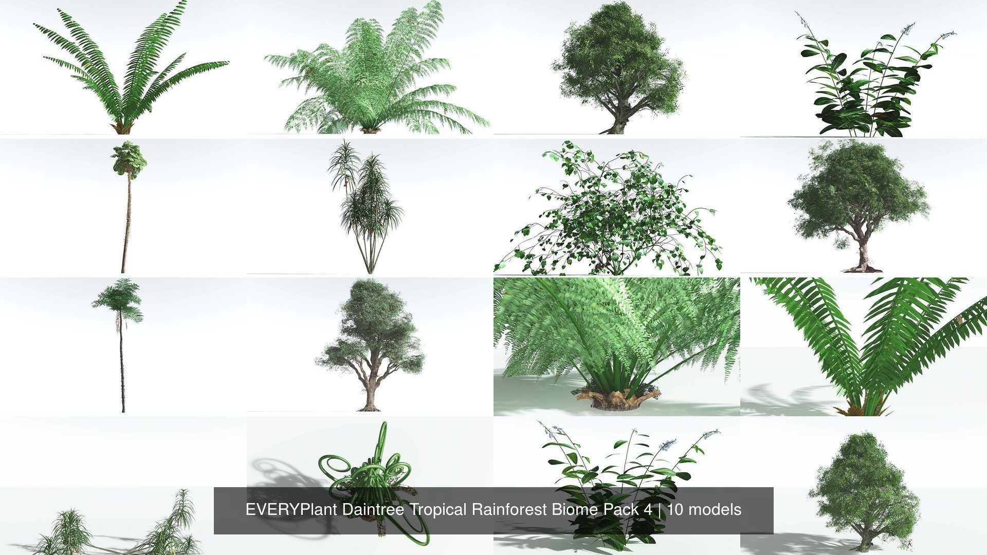EVERYPlant Daintree Tropical Rainforest Biome Pack 4 -159 Models 3D ...