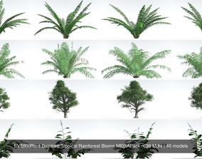 Rain forest 3D Models | CGTrader