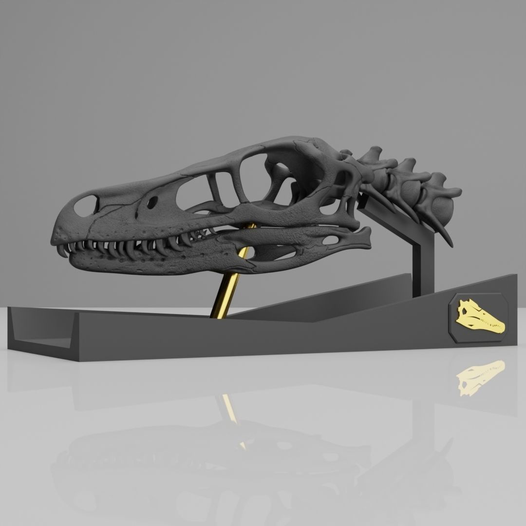 Life-Sized 3D Printable Velociraptor Mongoliensis Fossil Skull 3D model 3D printable | CGTrader