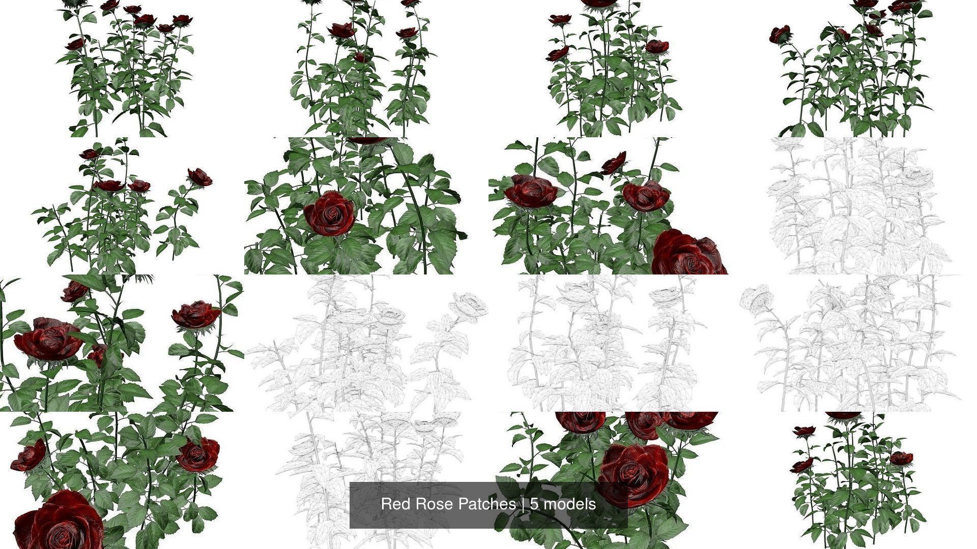 Red Rose Patches 3D Model Collection | CGTrader
