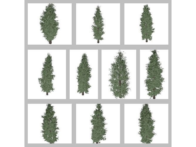 Eastern Red Cedar Trees 3D Model Collection | CGTrader