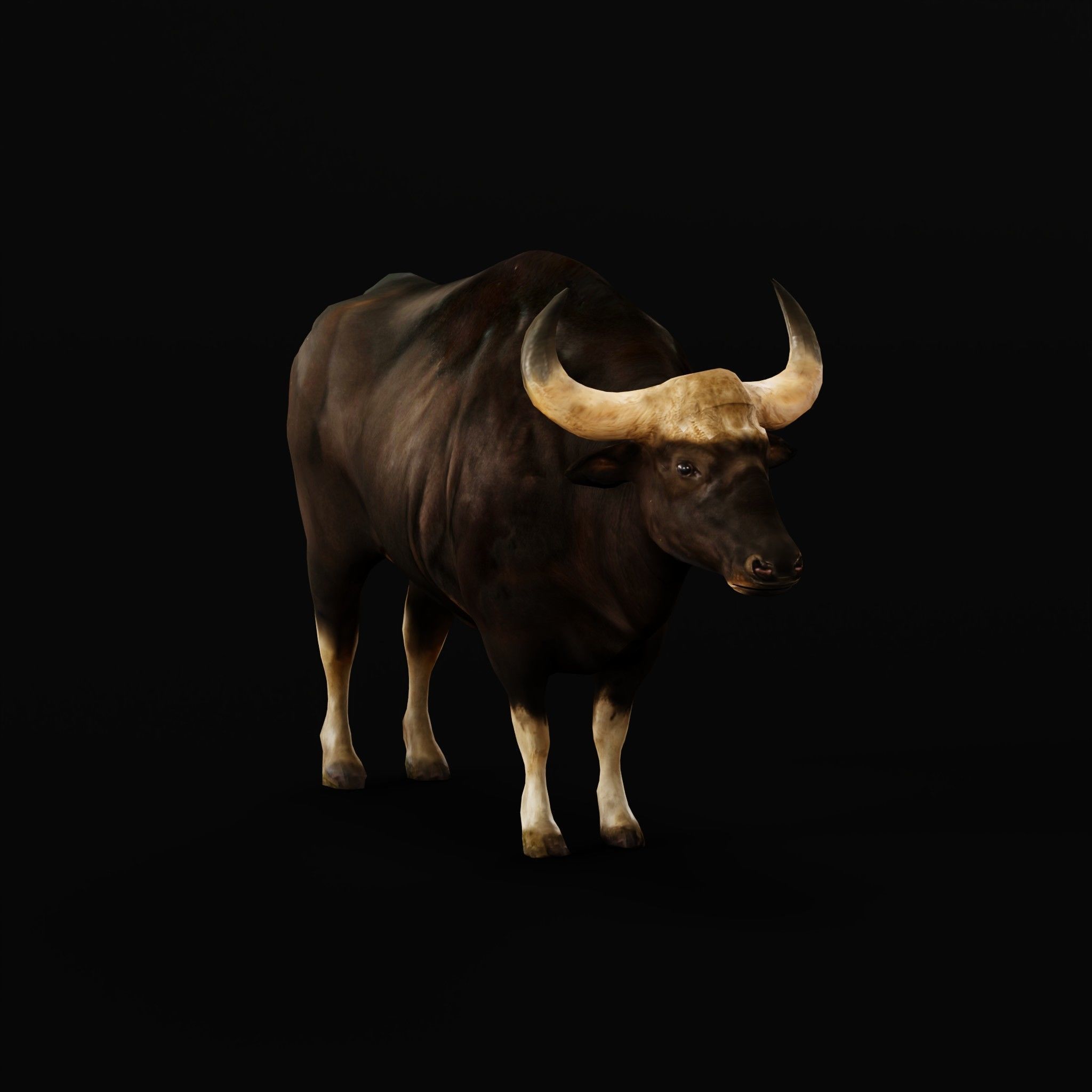 3D model Malayan Gaur Indian Bison VR / AR / low-poly rigged animated ...