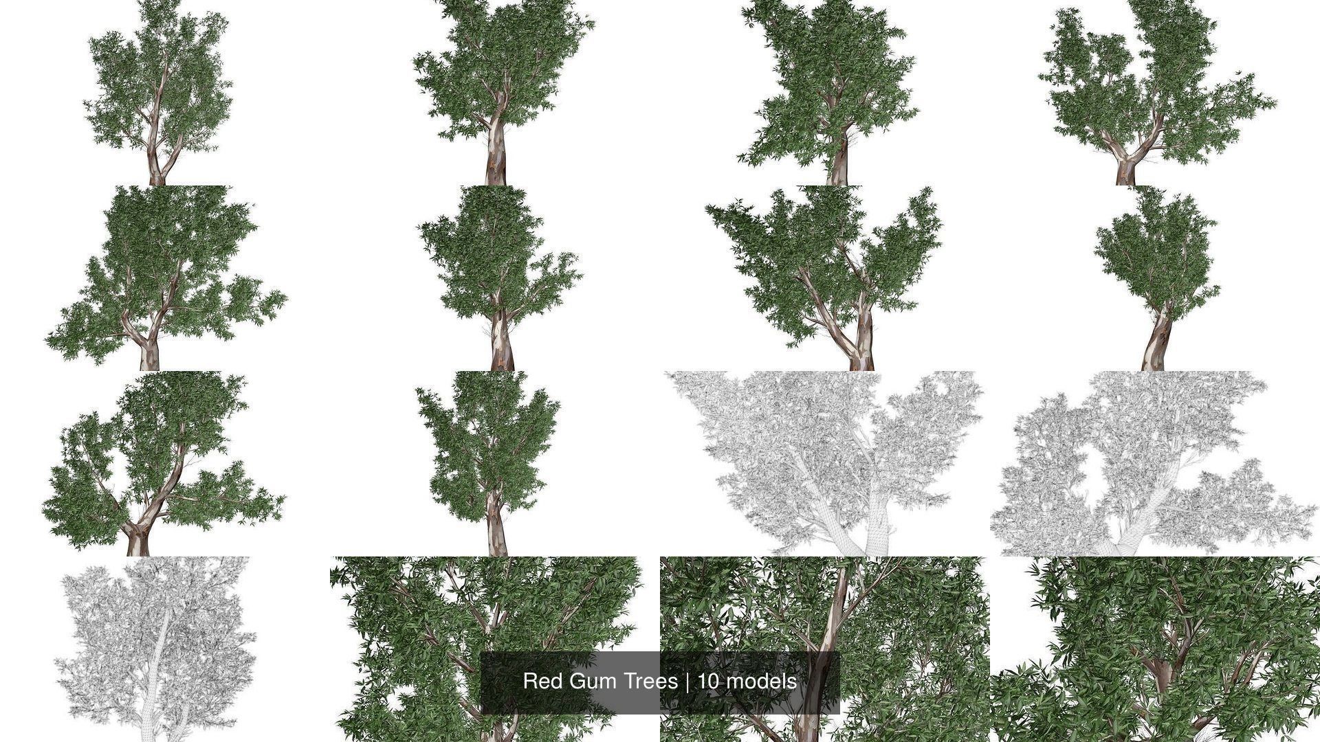 Red Gum Trees 3D Model Collection | CGTrader