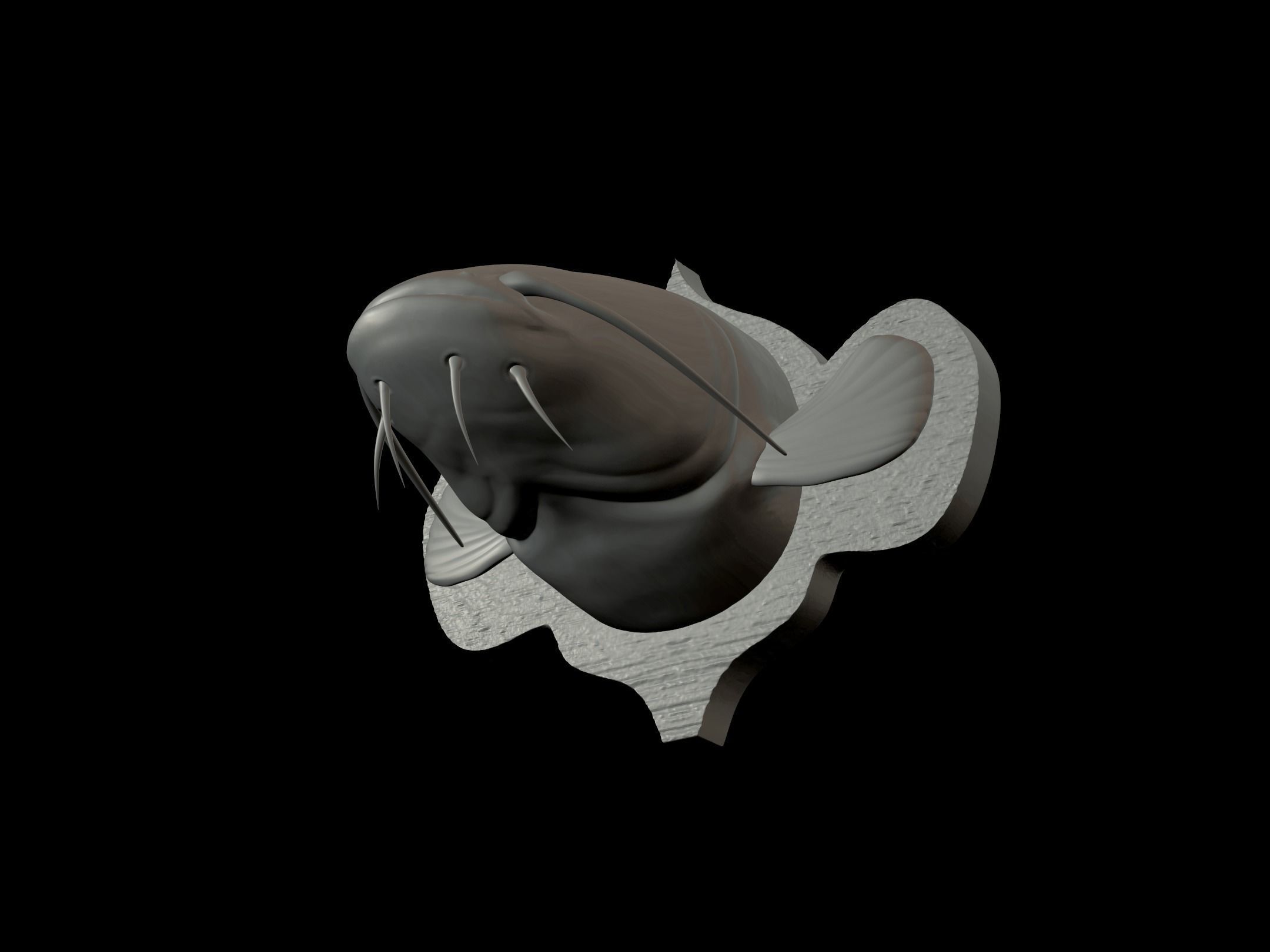 Catfish detailed texture trophy taxidermy for 3D printing 3D model 3D ...