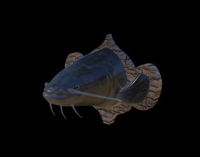 Catfish 3D Print Models | CGTrader
