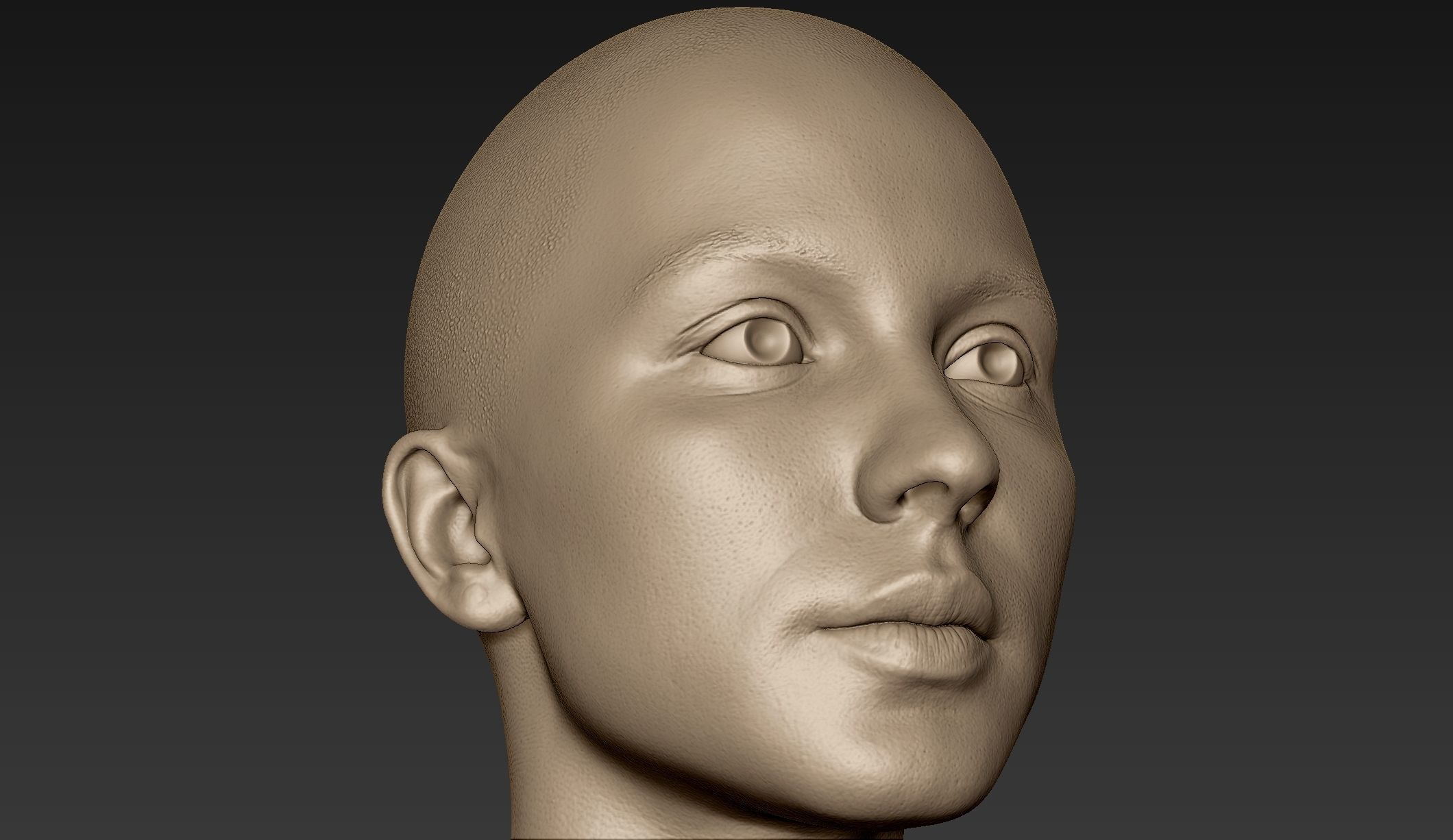 3D Printable Female Head 16 3D model 3D printable | CGTrader
