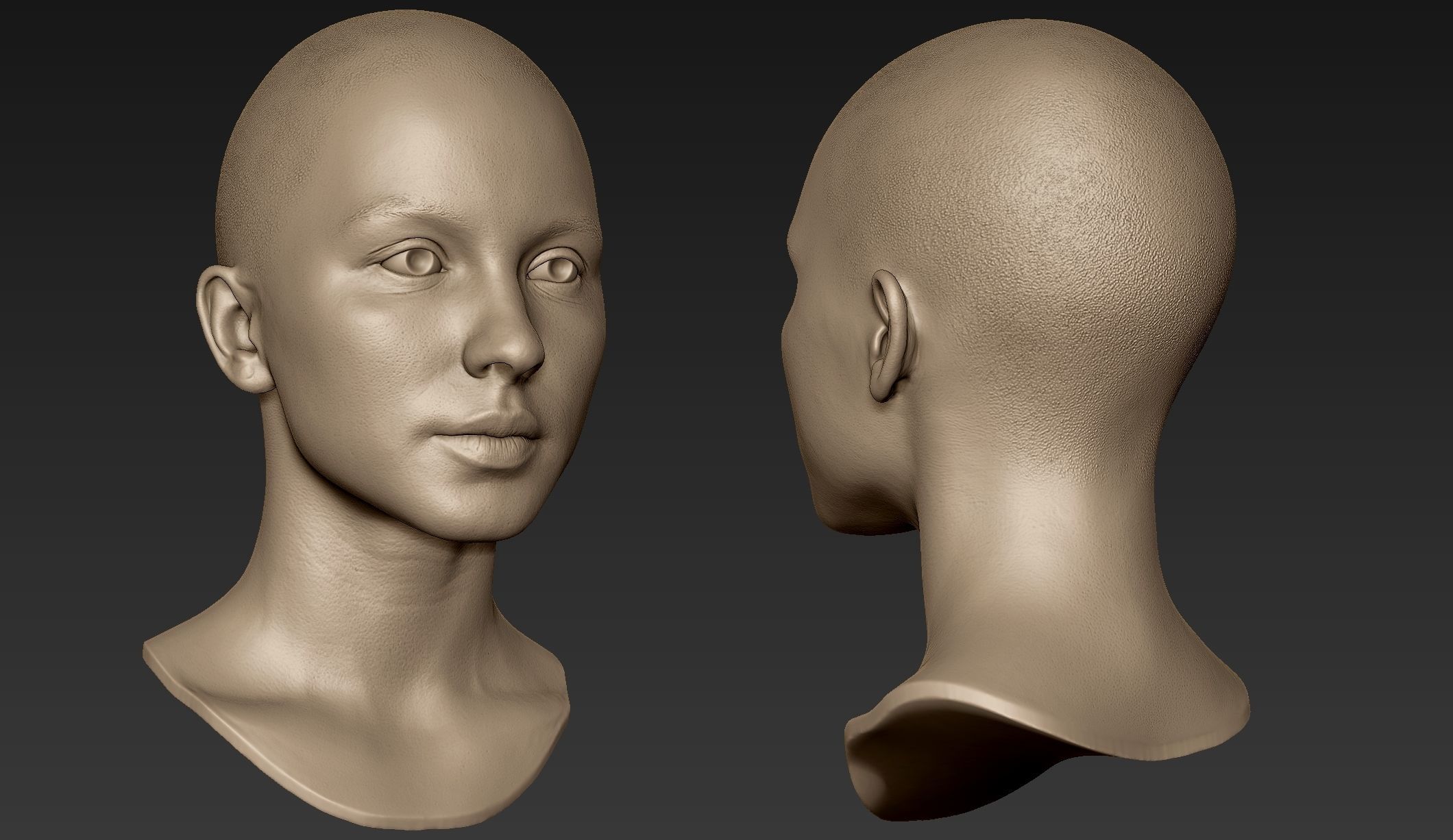 3D Printable Female Head 16 3D model 3D printable | CGTrader