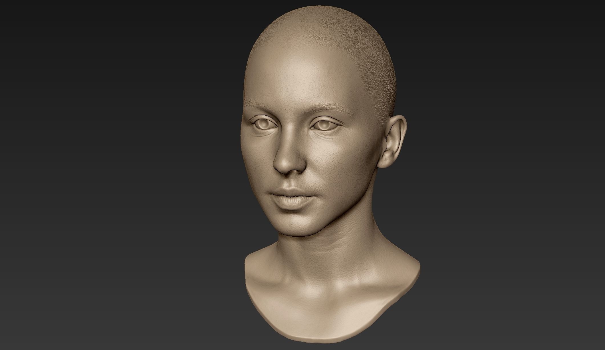 3D Printable Female Head 16 3D model 3D printable | CGTrader