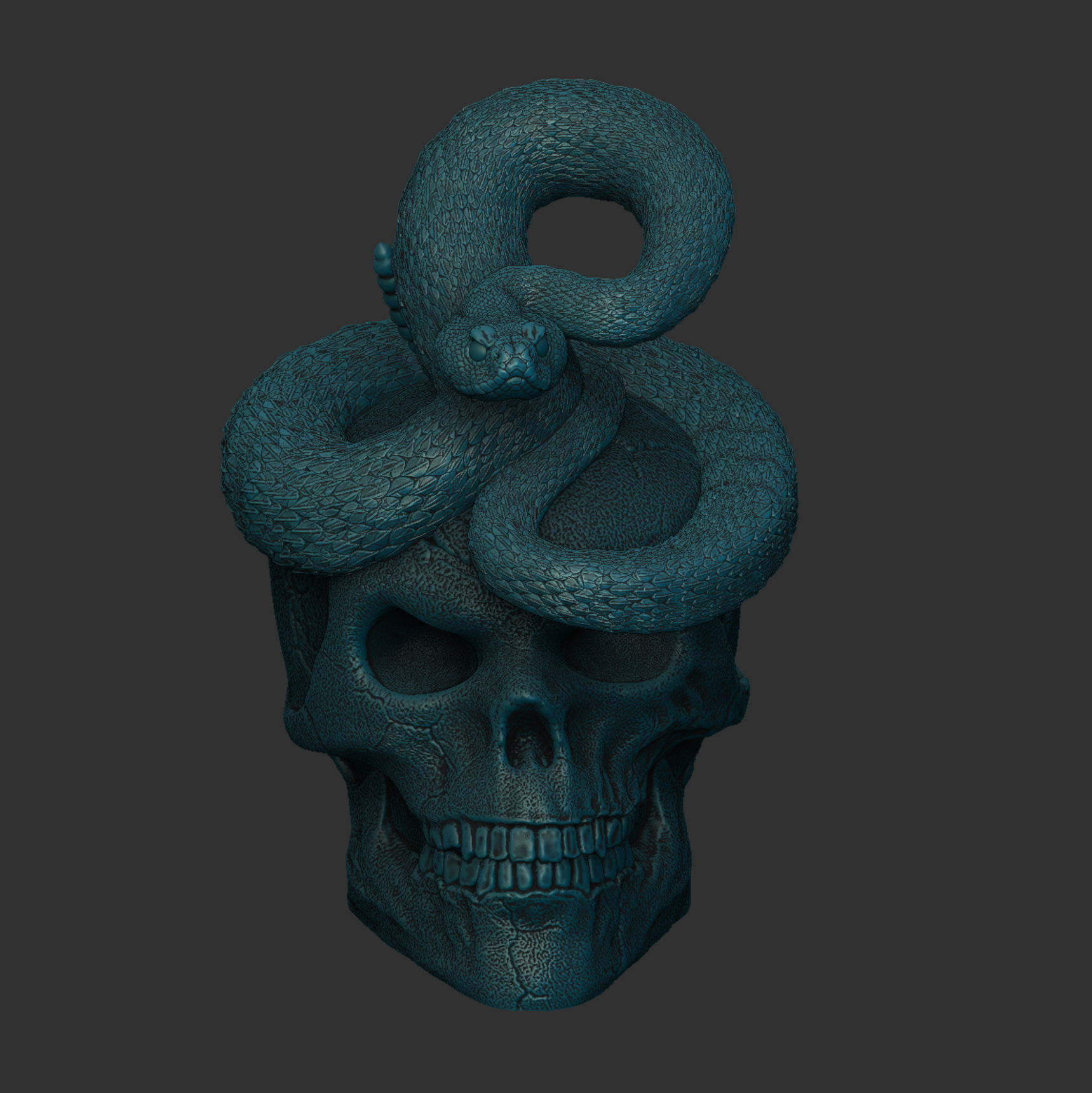 Skull with Rattlesnake - Eyes Closed - Hollow Inside 3D model 3D ...