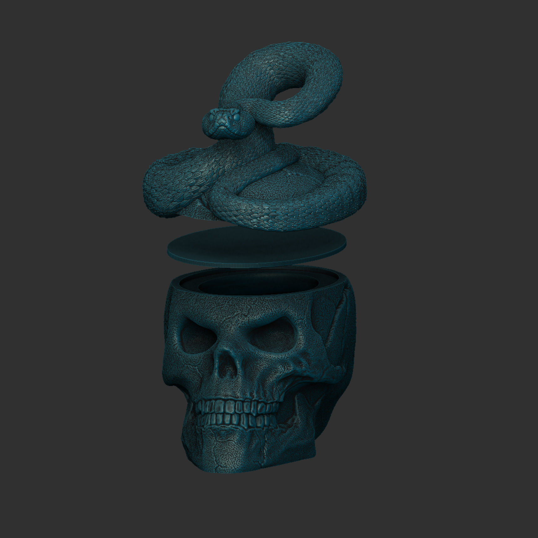 Skull with Rattlesnake - Eyes Closed - Hollow Inside 3D model 3D ...