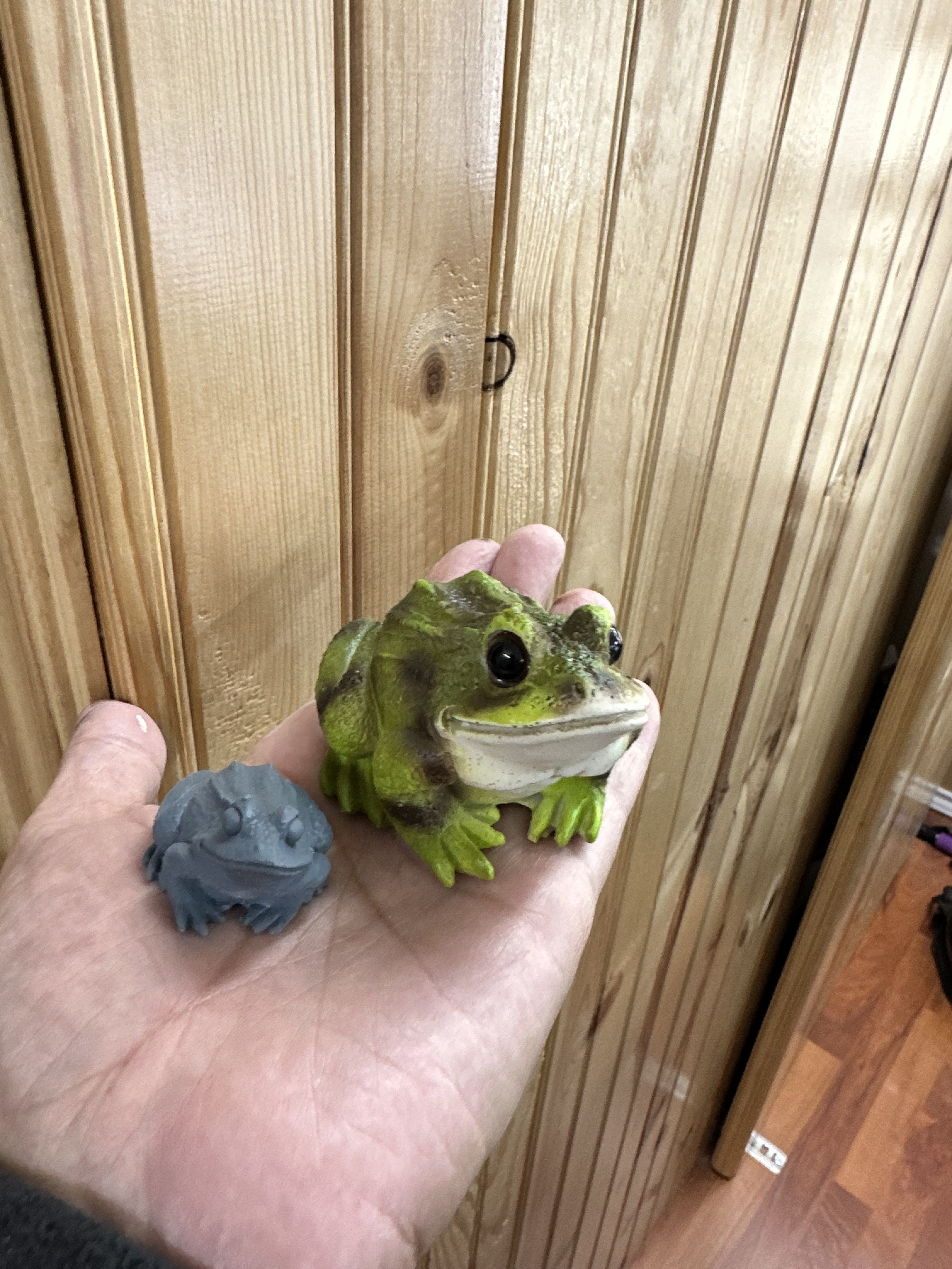 Just a Toad 3D model 3D printable | CGTrader