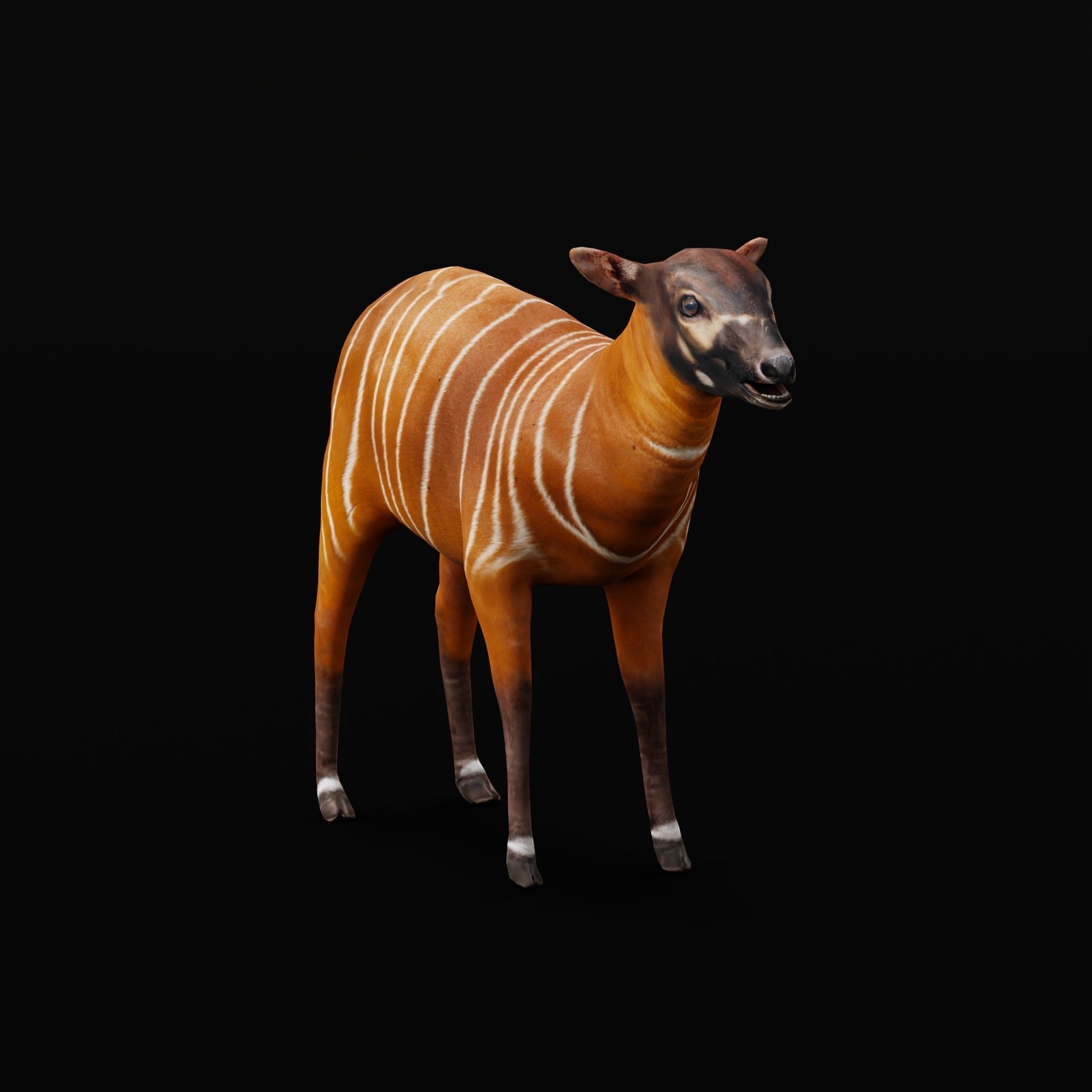 3D model Bongo Antelope Calf VR / AR / low-poly rigged animated | CGTrader