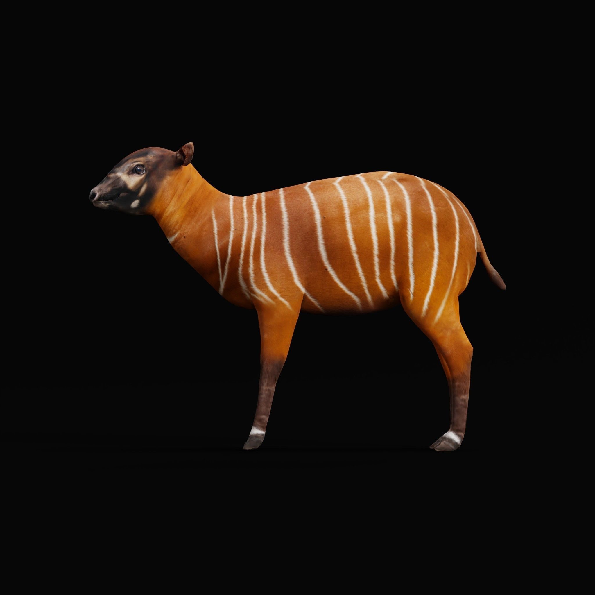 3D model Bongo Antelope Calf VR / AR / low-poly rigged animated | CGTrader