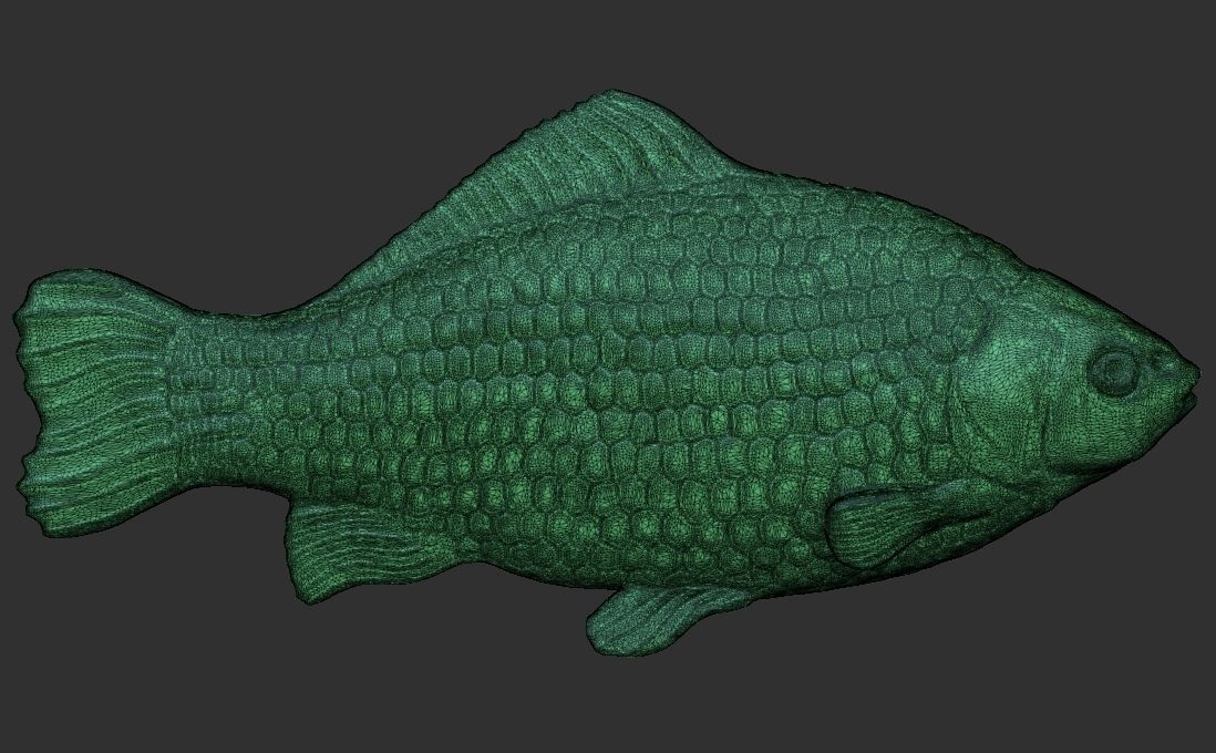 Crucian carp fish for 3D printing 3D model 3D printable | CGTrader