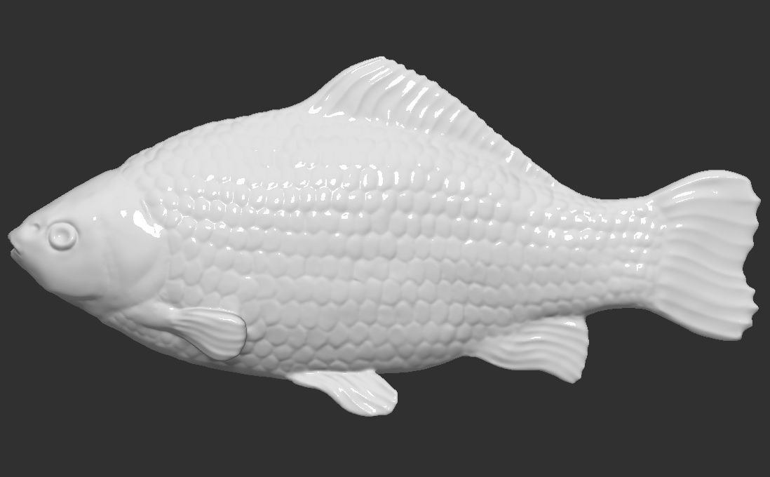 Crucian carp fish for 3D printing 3D model 3D printable | CGTrader