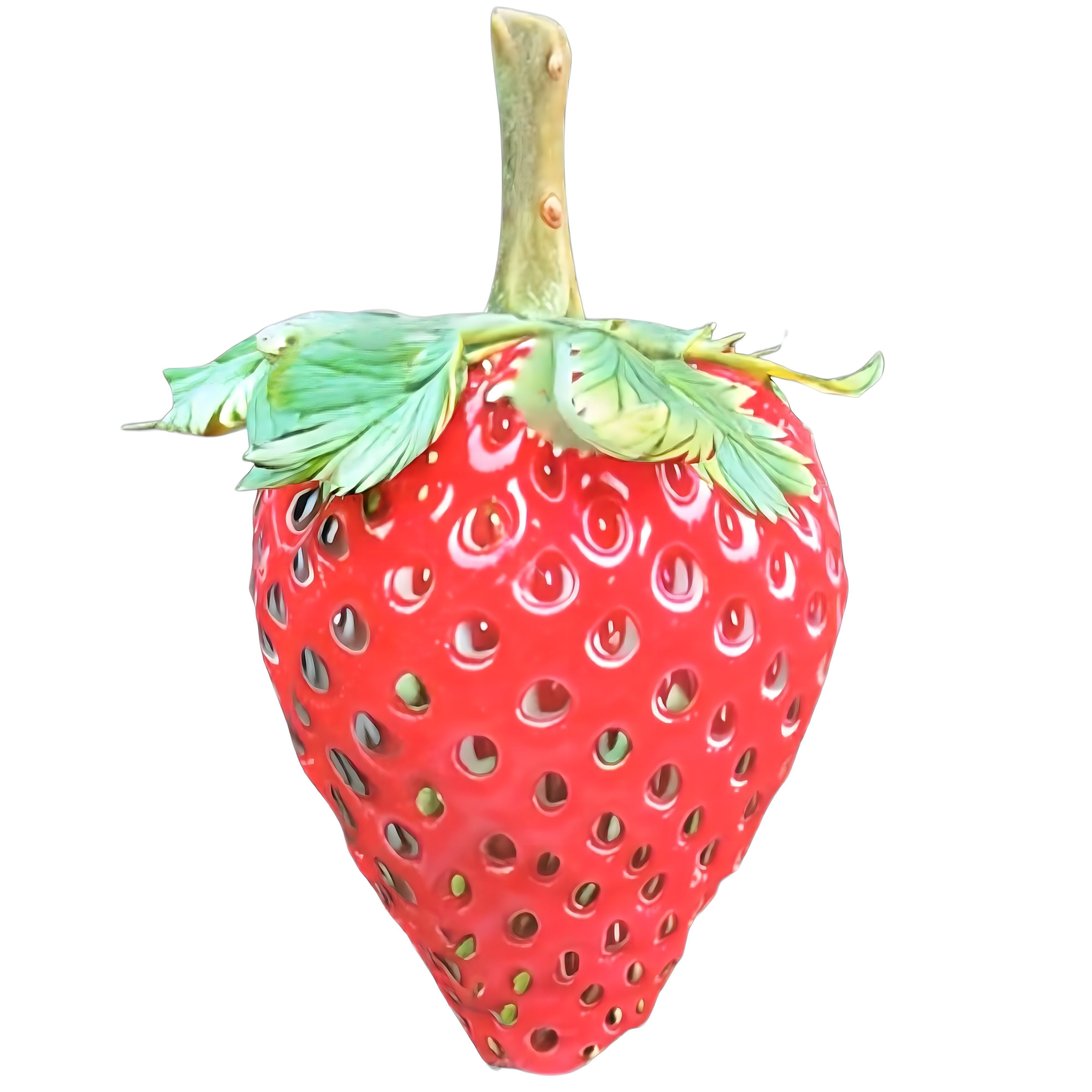 Strawberry 3 transparent 3D model 3D model | CGTrader