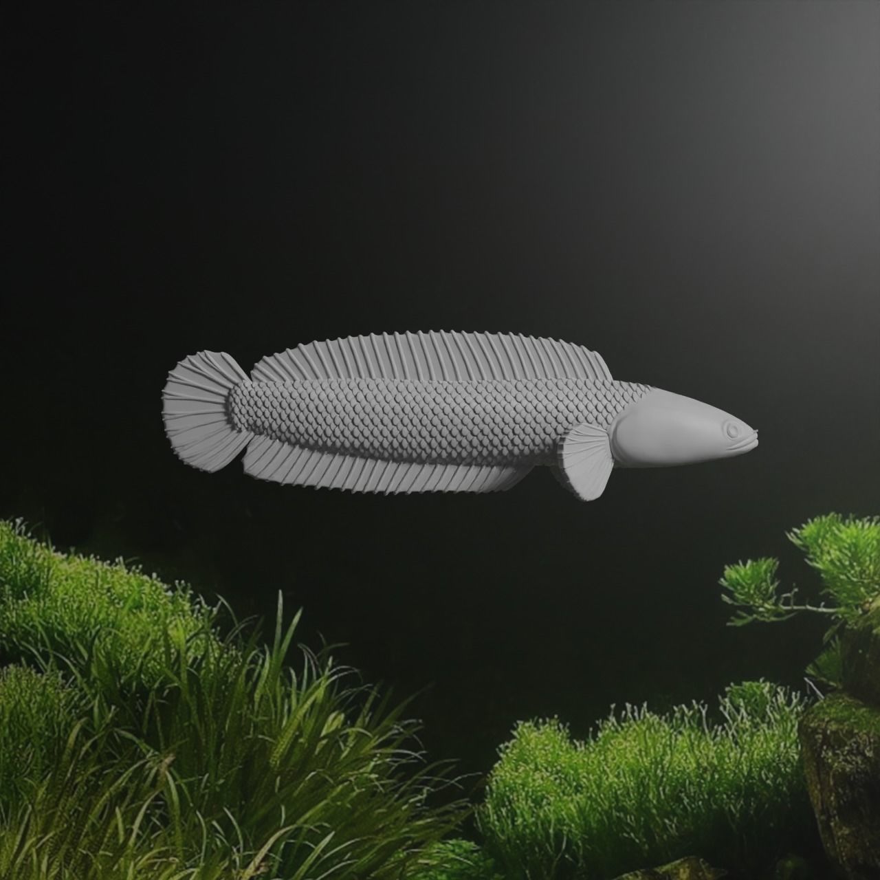 CHANNA BARCA FISH - SNAKE HEAD FISH 3D model 3D printable | CGTrader