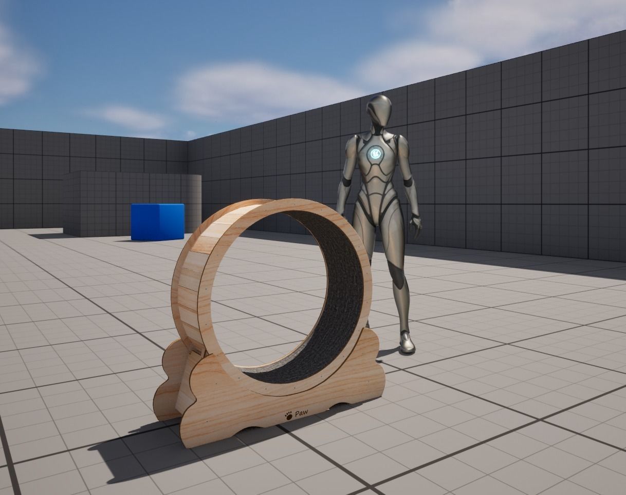 Cat Exercise Wheel 3D model | CGTrader