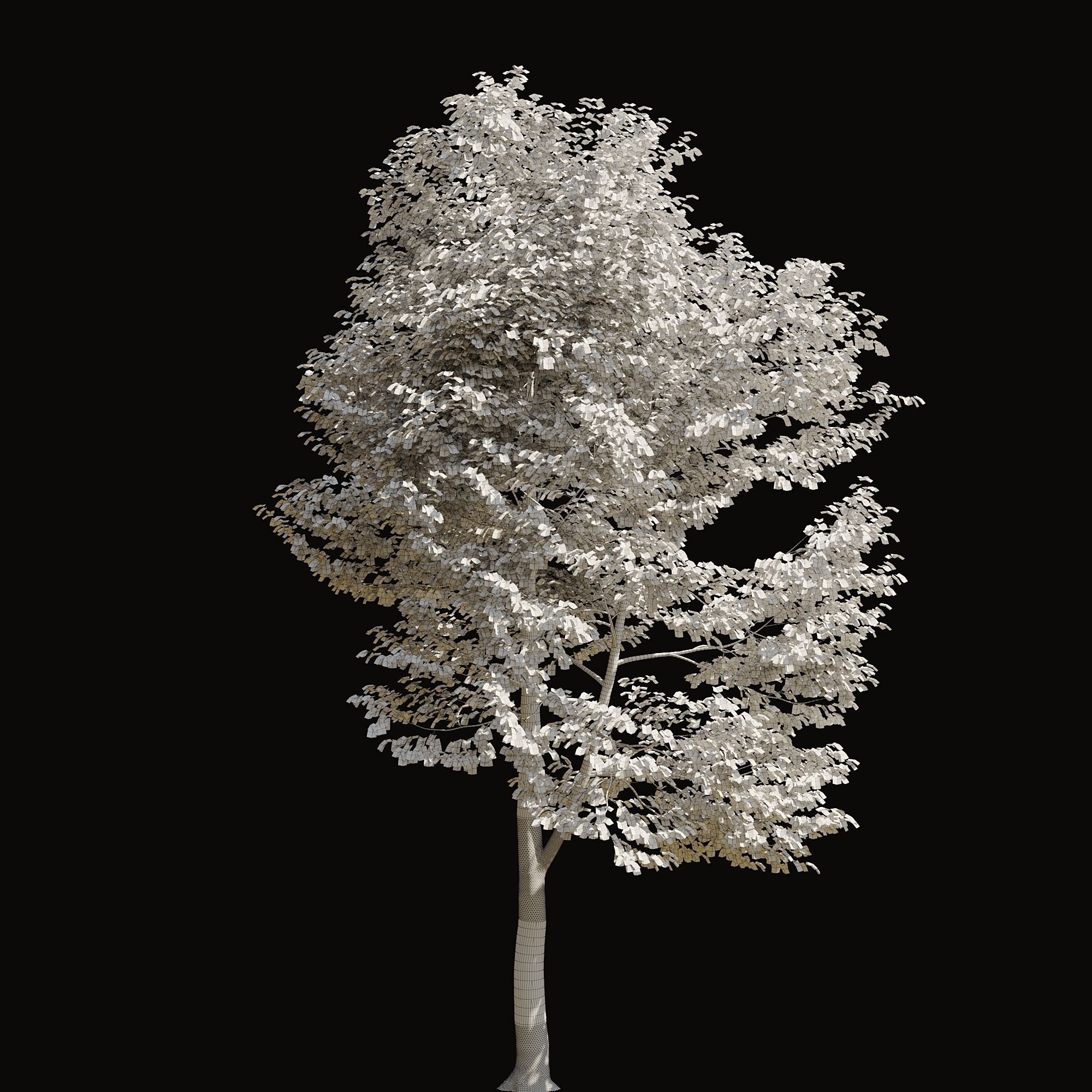 3 ash trees 3D model | CGTrader