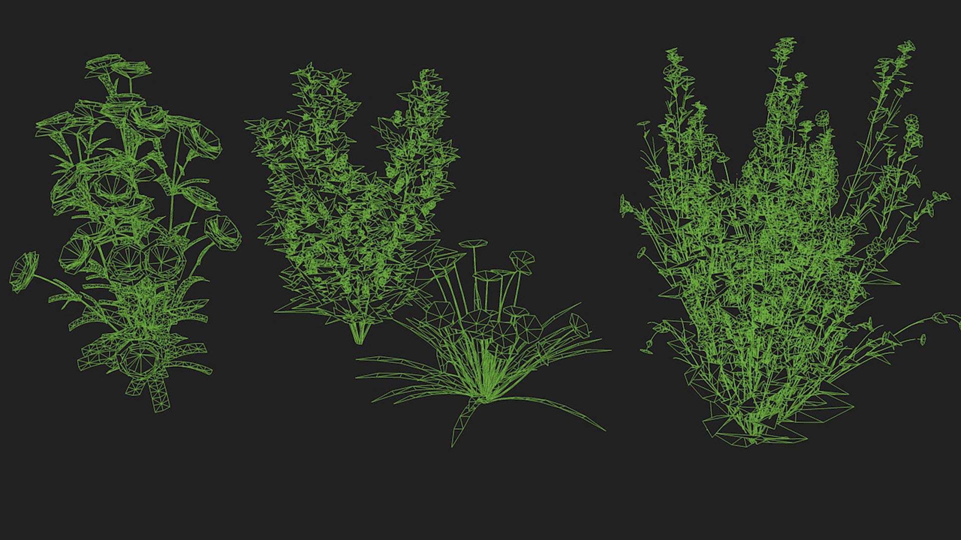 Four wild flowers 3D model | CGTrader