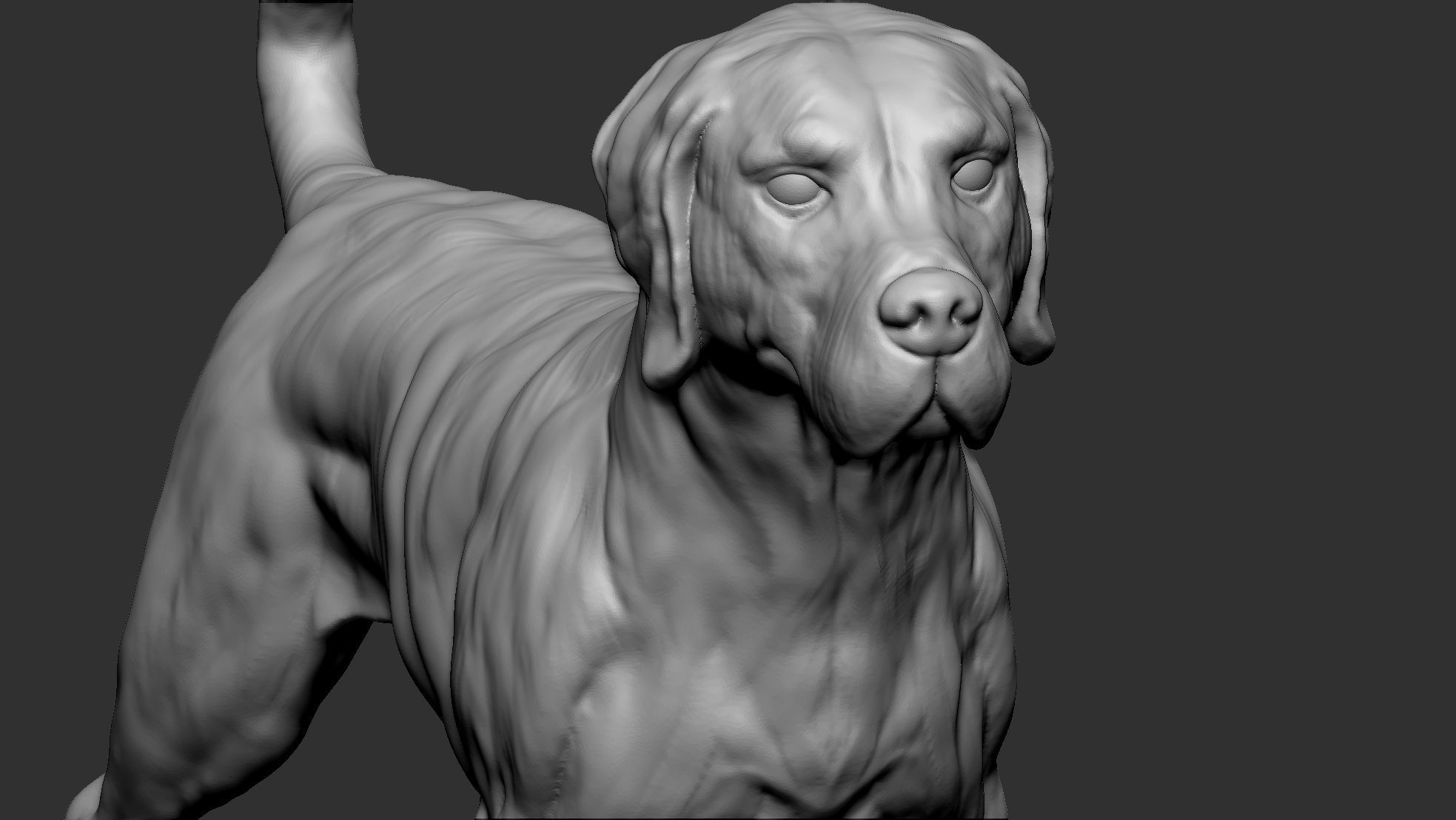 Dog - STL - RPG MINIATURE 3D model 3D printable | CGTrader
