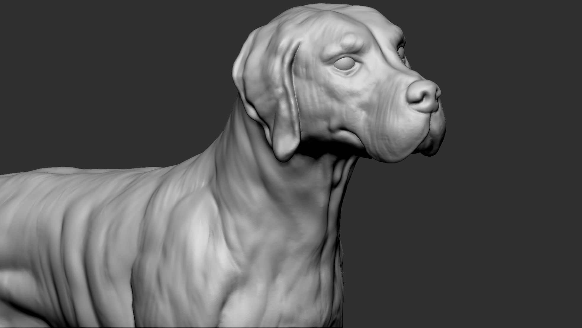 Dog - STL - RPG MINIATURE 3D model 3D printable | CGTrader