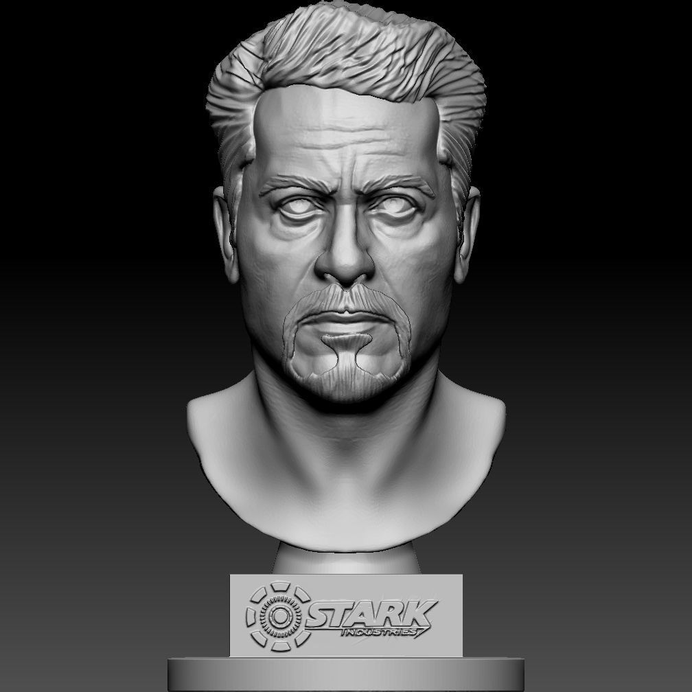 Tony Stark - Robert Downey Jr 3D model 3D printable | CGTrader