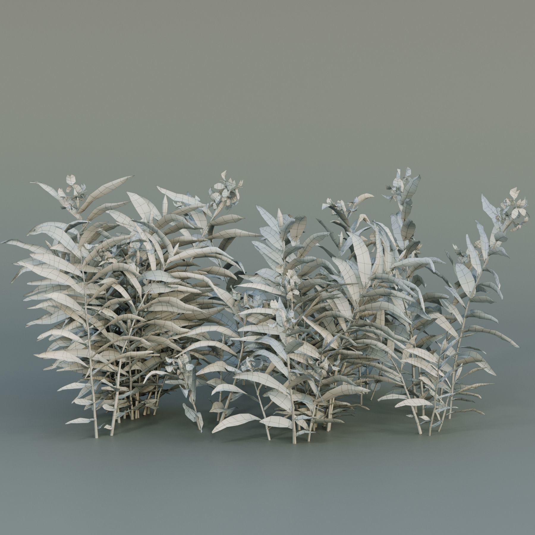 3D model Ginger Lily Flower VR / AR / low-poly | CGTrader