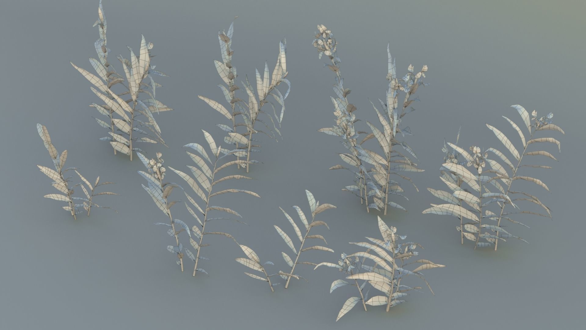 3D model Ginger Lily Flower VR / AR / low-poly | CGTrader