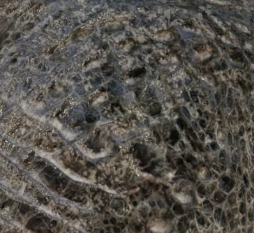 Evolved Godzilla X Kong the new empire 2024 free 3D model rigged | CGTrader