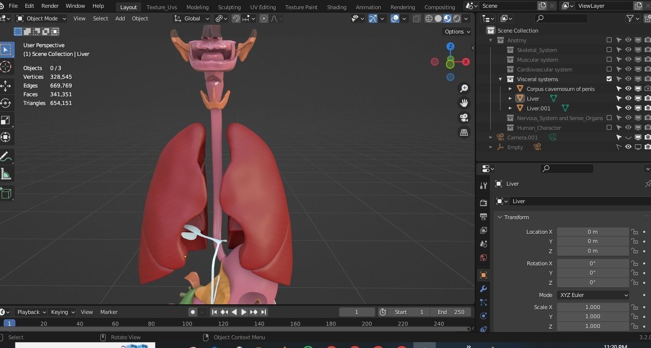 Human Male Internal Organs 3d Model 3d Model Cgtrader
