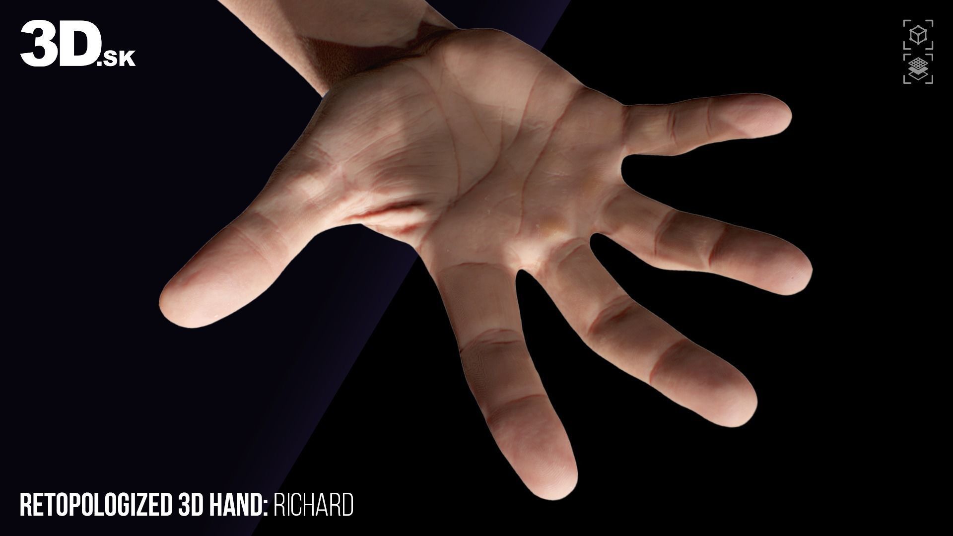 Retopologized 3D Hand Richard 3D model | CGTrader