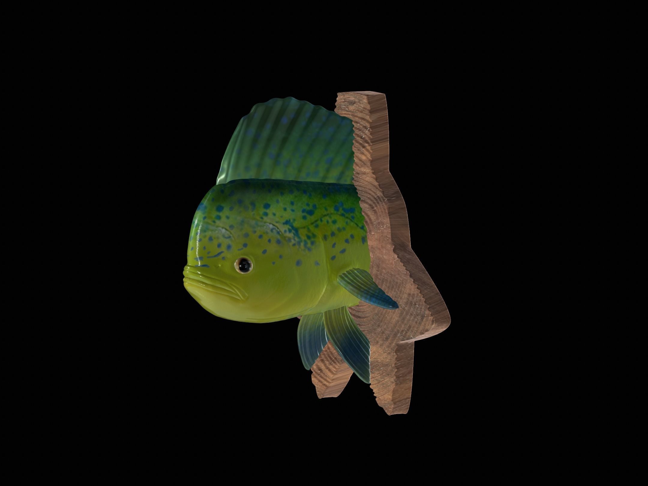 MAHI MAHI DETAILED TEXTURE TROPHY TAXIDERMY FOR 3D PRINTING 3D model 3D ...