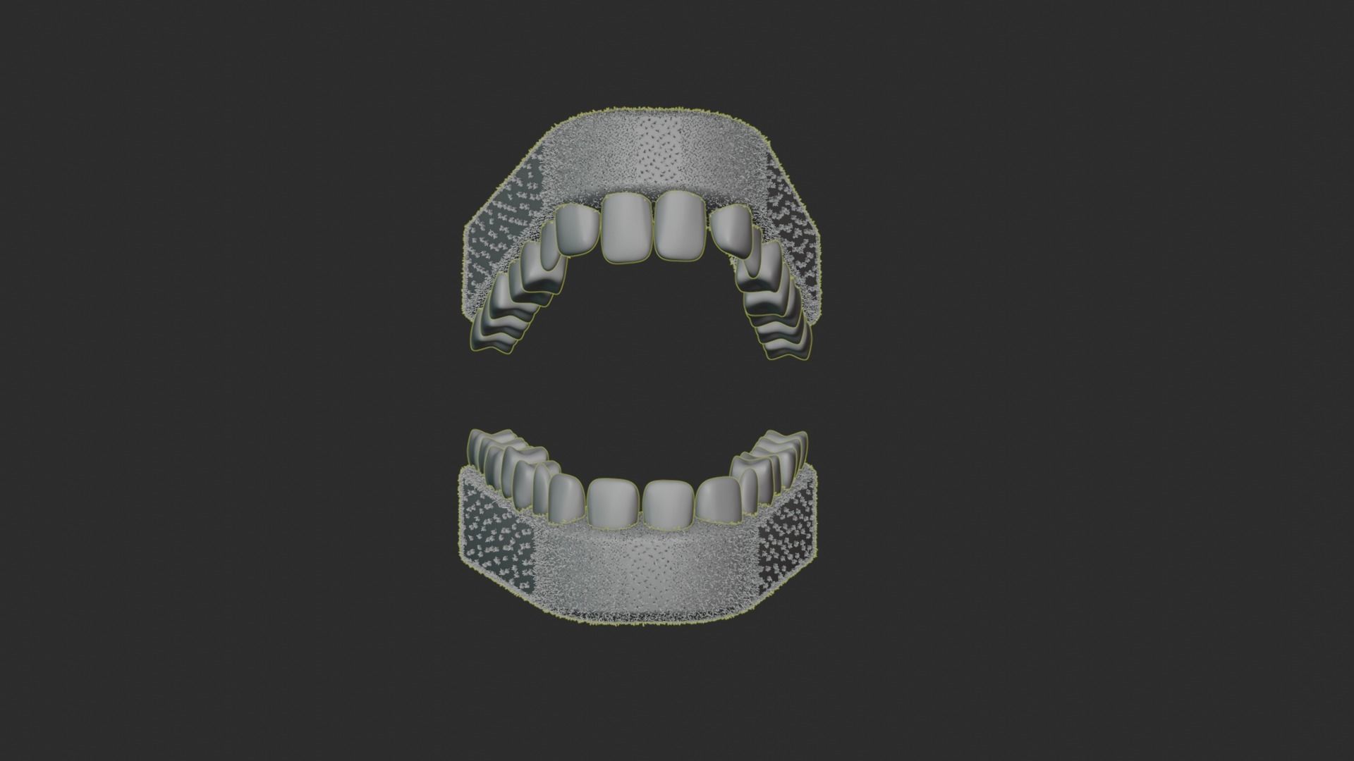 Human teeth 3D model | CGTrader