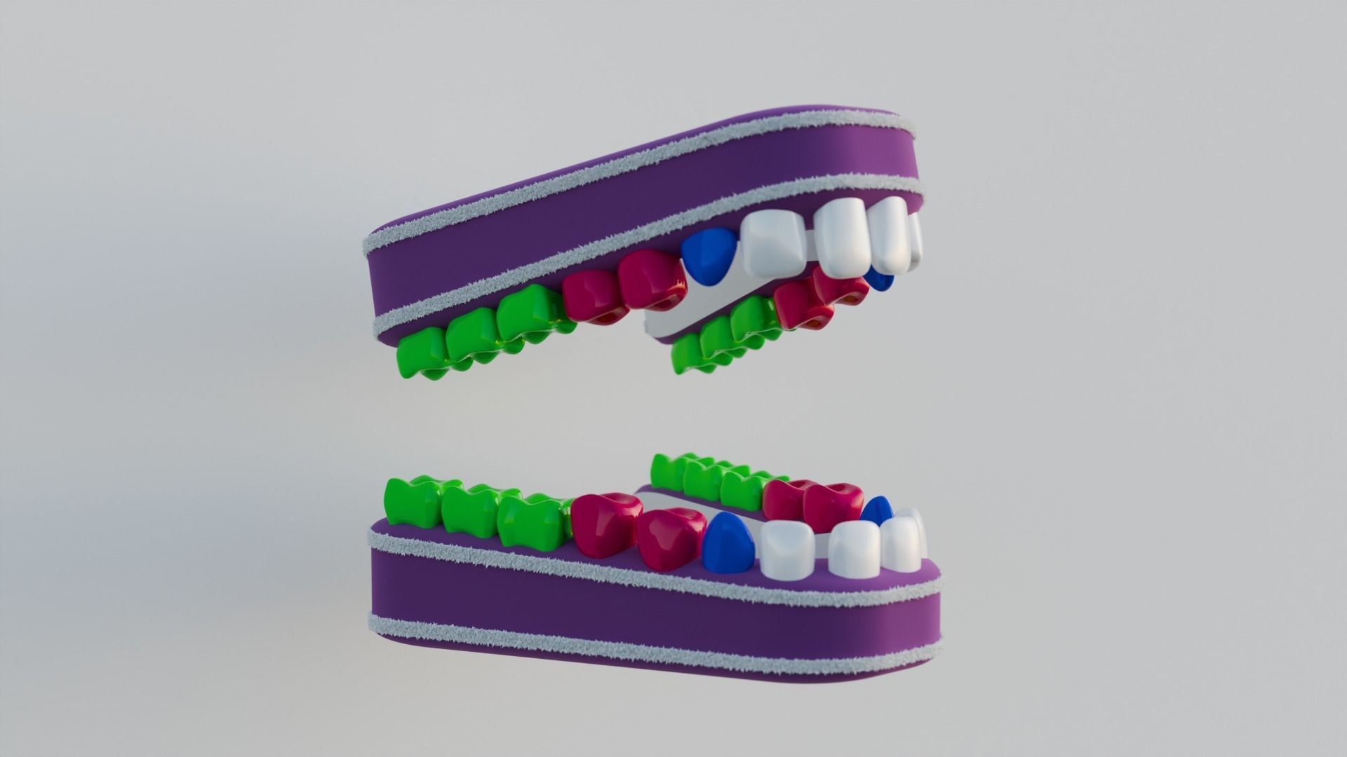 Human teeth 3D model | CGTrader