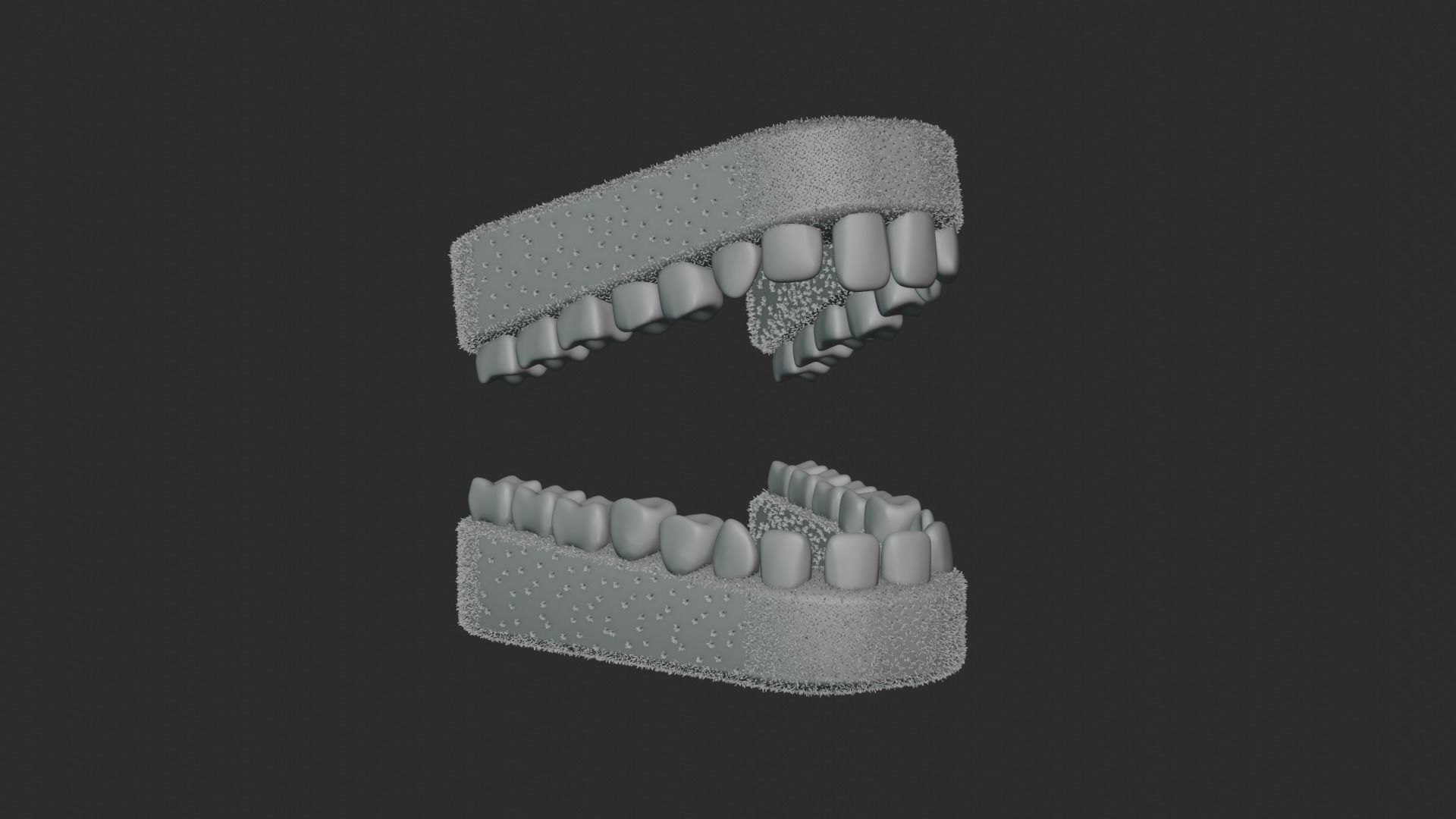 Human teeth 3D model | CGTrader