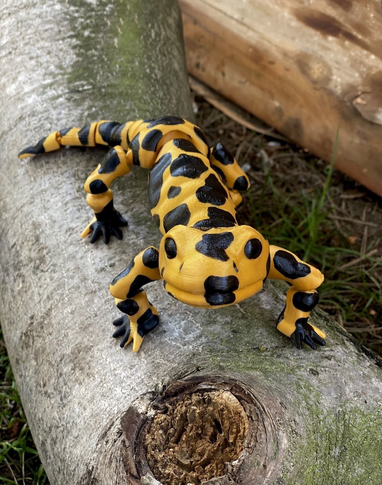 Movable figure of the salmander toy print in place body free 3D model ...