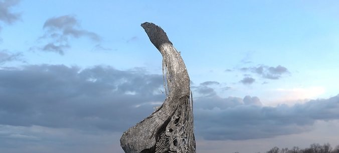 Alien meteor curved scull rock 3D model | CGTrader