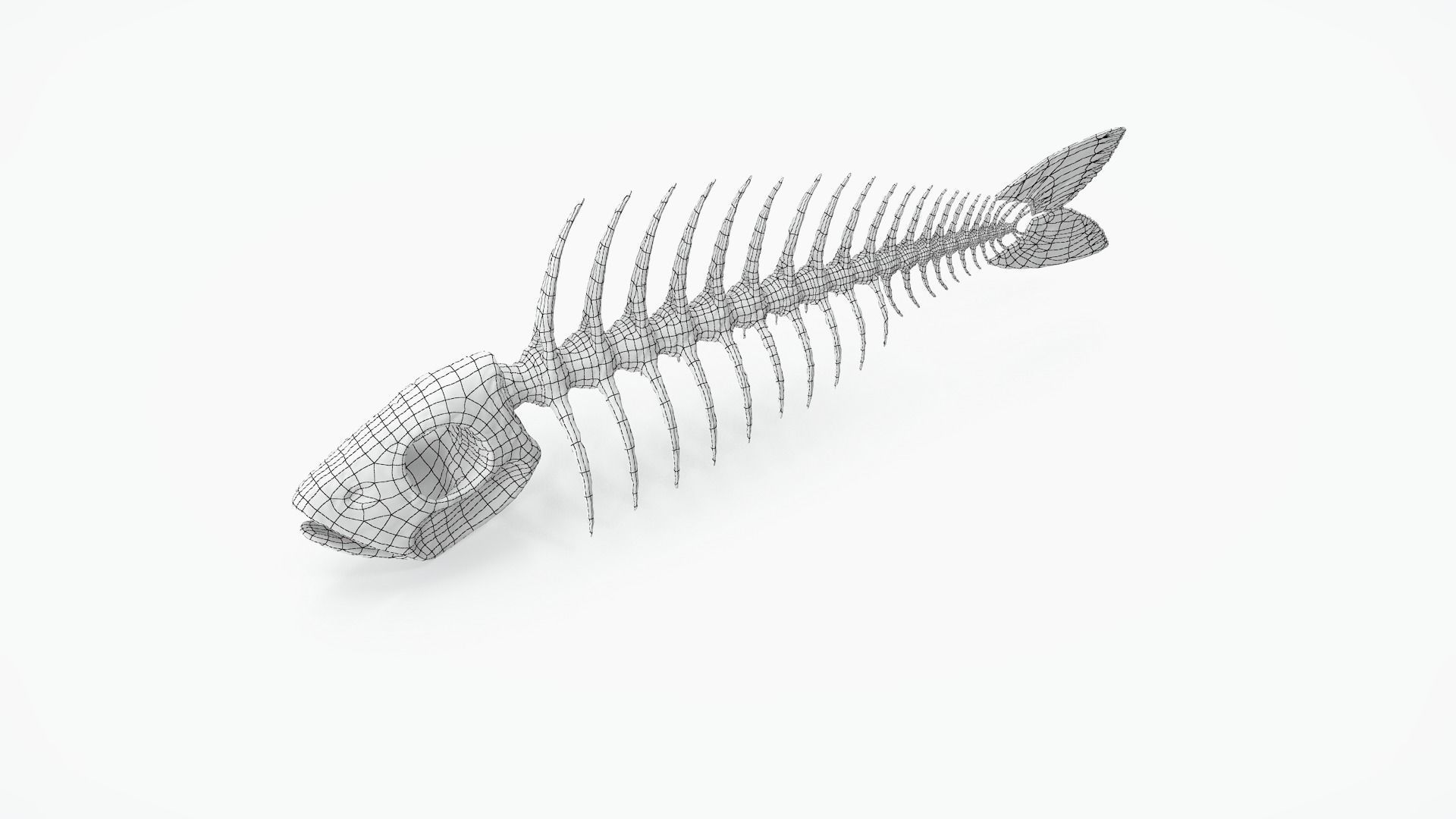 Fish Bones collection 3D model | CGTrader
