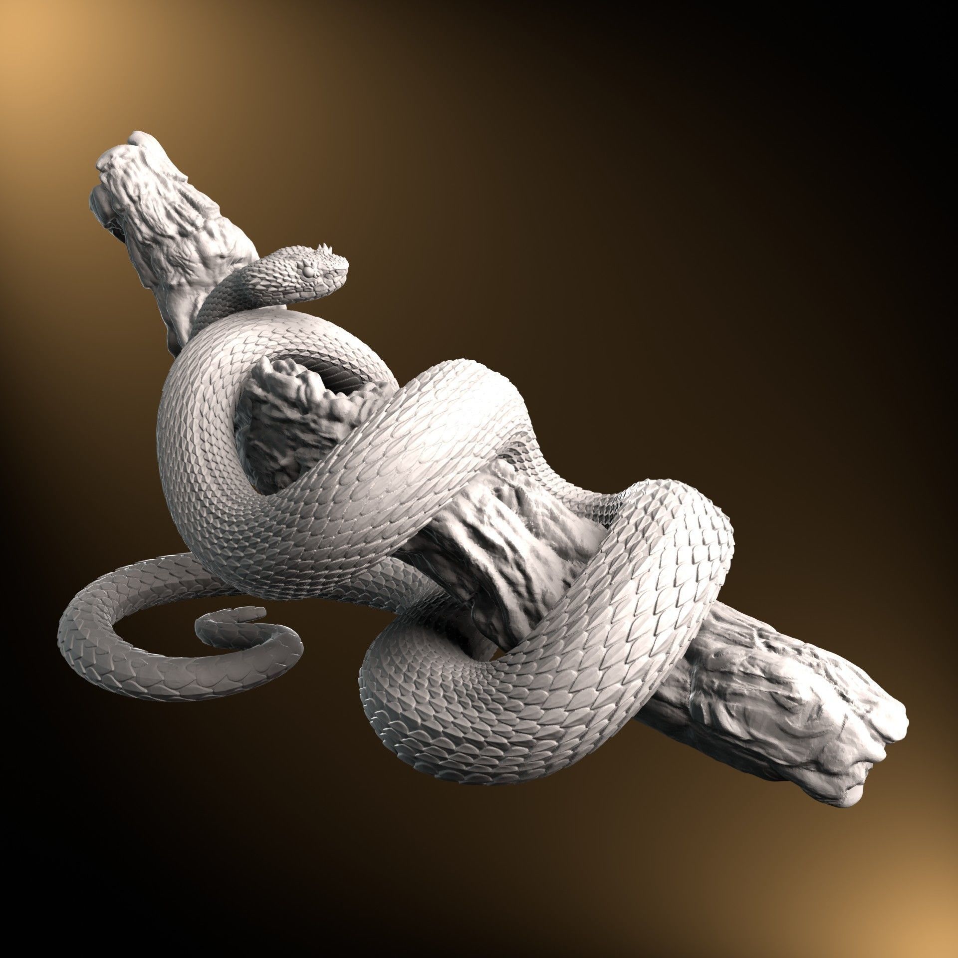 Eyelash Pit Viper Realistic Exotic Snake 3D Print Model 3D model 3D ...